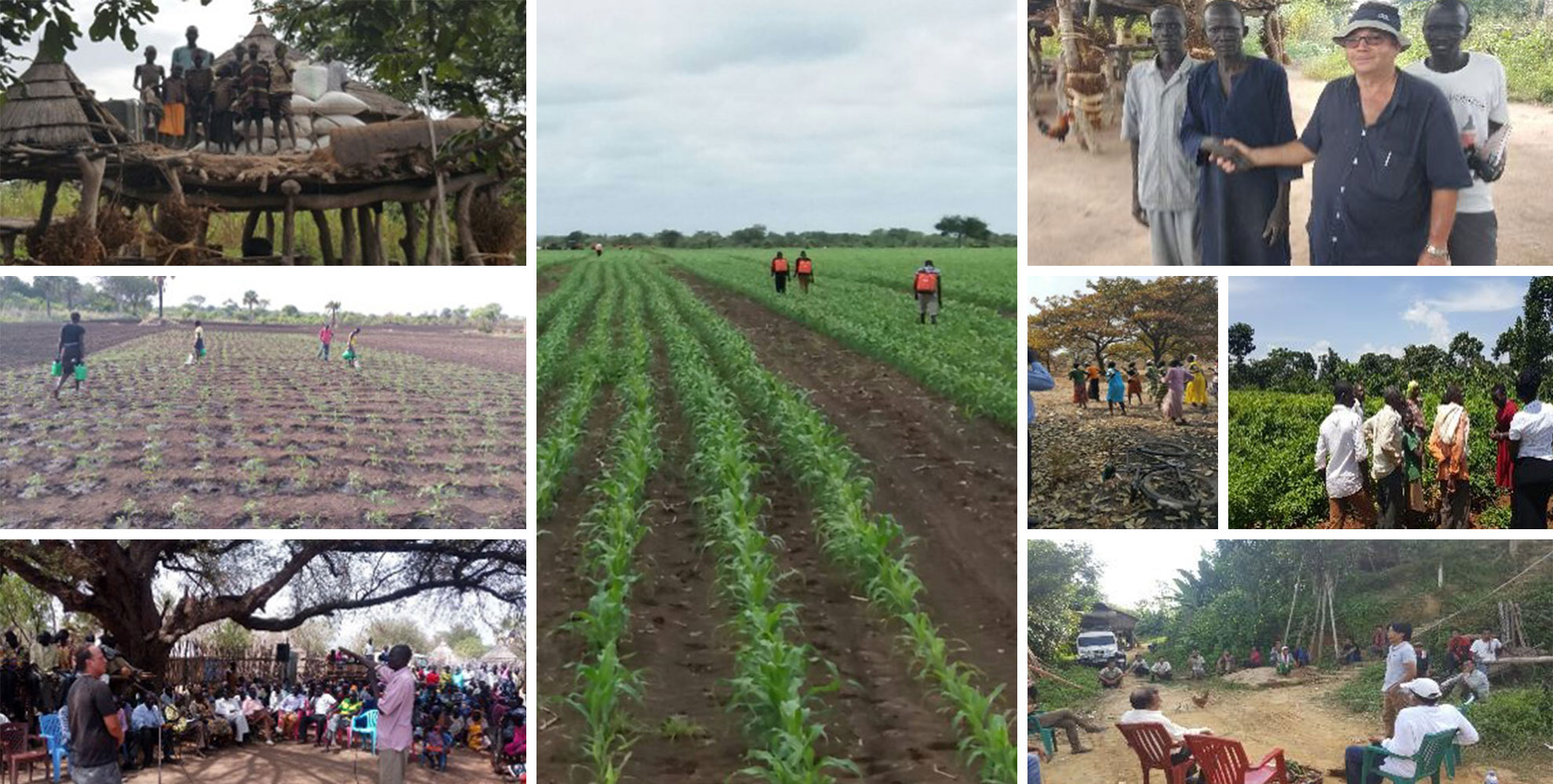 Examples of Agriculture Projects | Wekah Tech